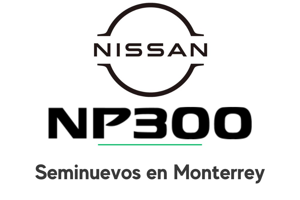 Np300 Logo